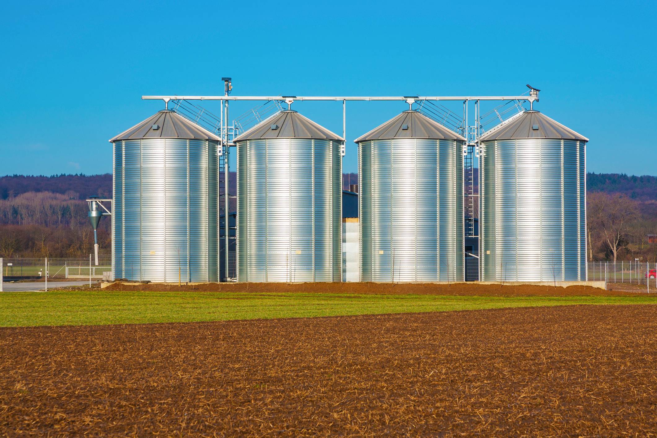 8 tipos de silo de soja para conhecer